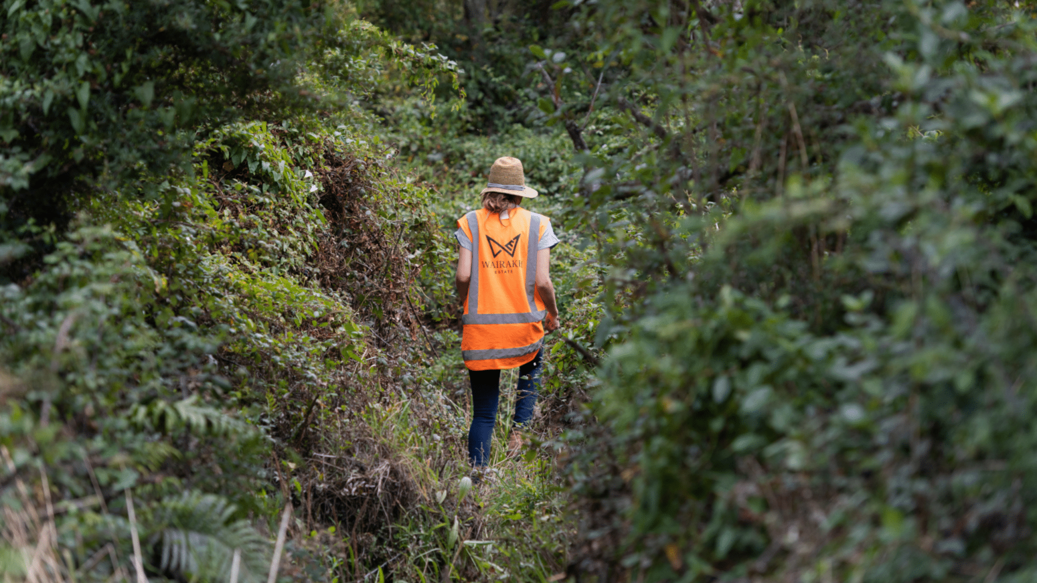 City Shaper: Angela Bull - Property Council New Zealand