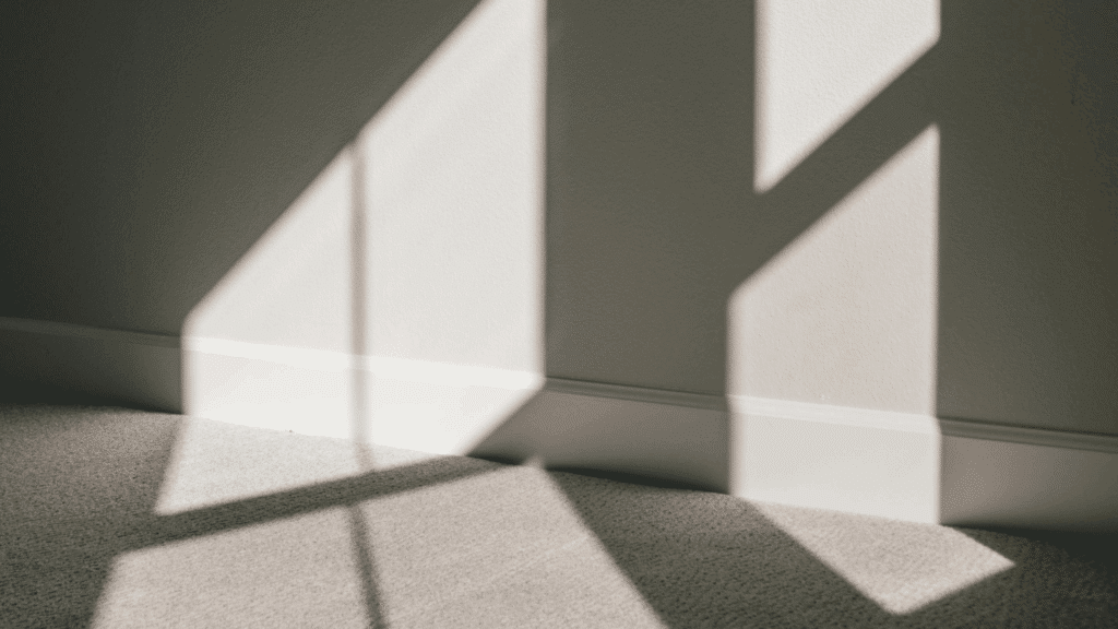 High Stakes, Higher Buildings: Councils Rethink MDRS - Property Council ...