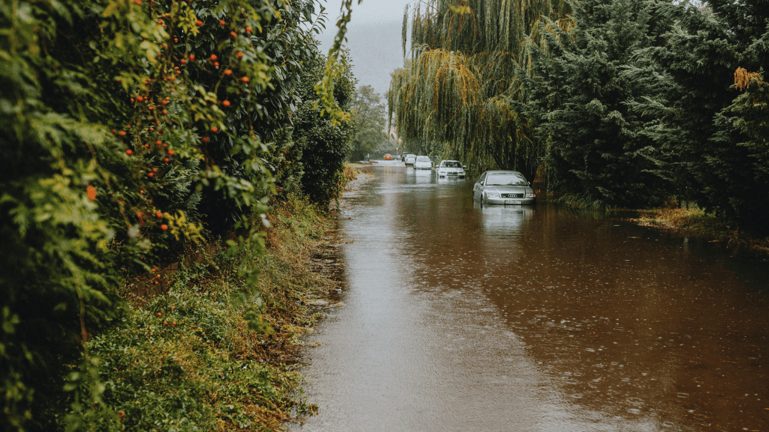 In Brief: LIM Reforms to strengthen natural hazard reporting - Property ...